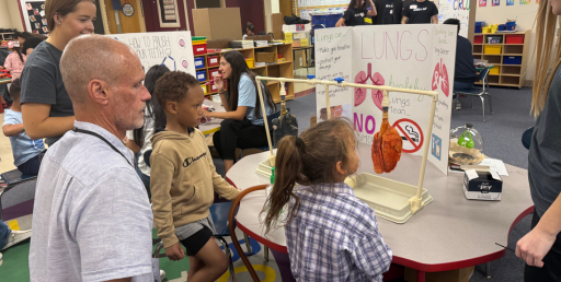 Kindergarten STEM Fair | Stories