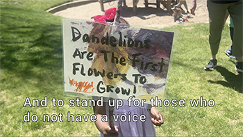 Standing up for those who do not have a voice | story