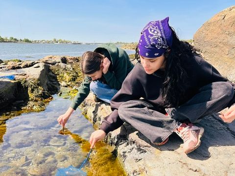US Environmental Science Class Explores Coastal Ecosystems at Orchard ...