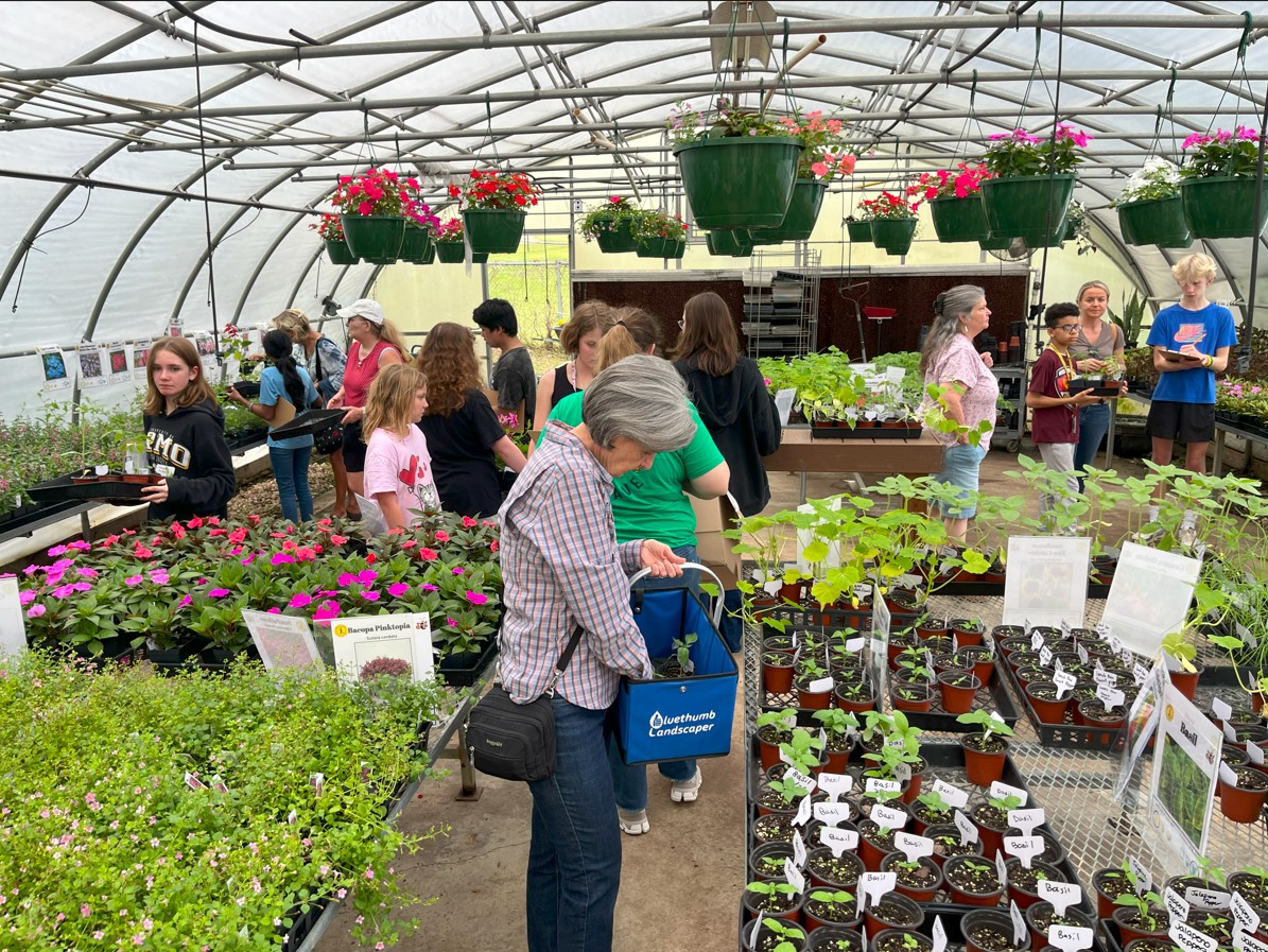 Irmo Middle School earns recertification as a Green Steps School | Details