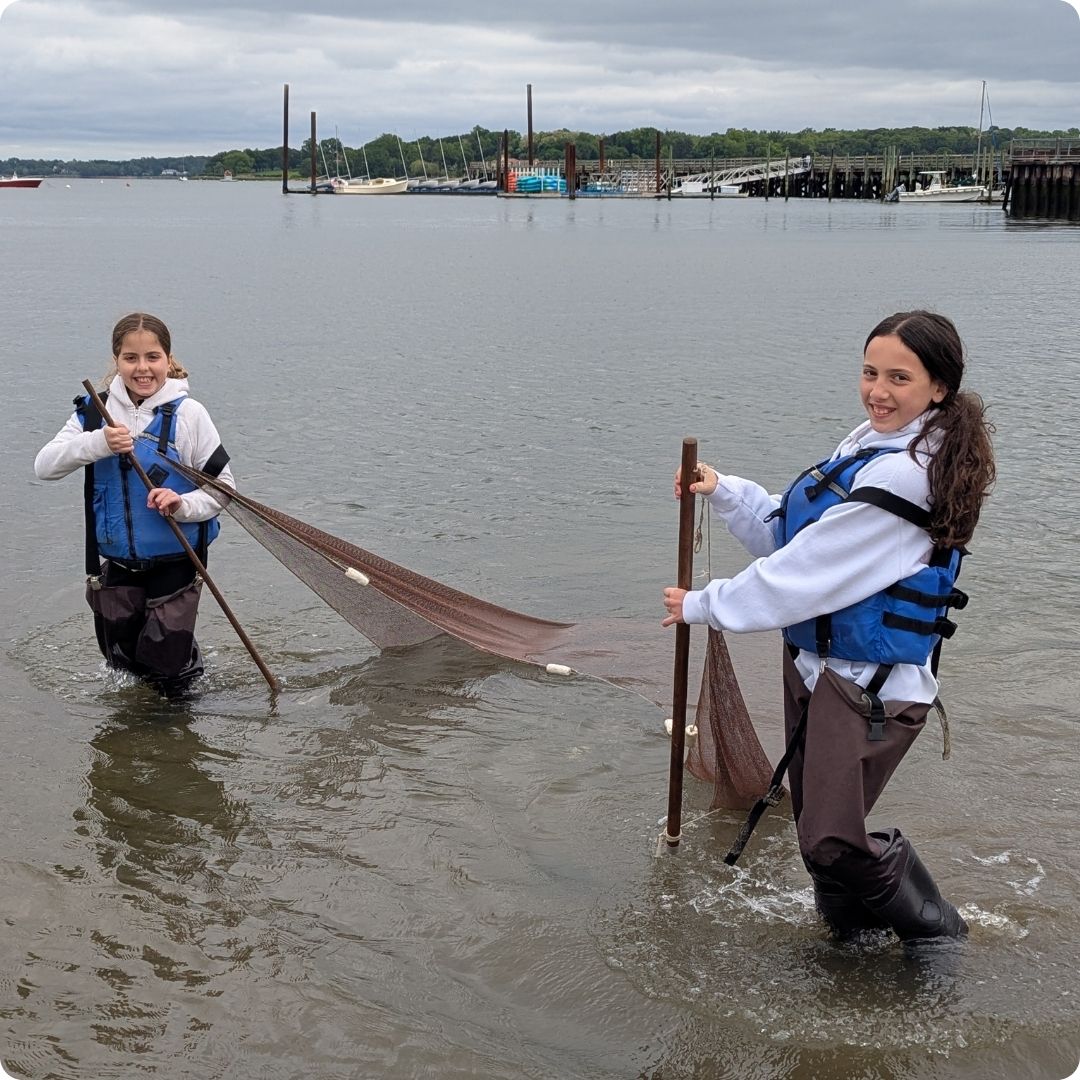 Long Island's Aquatic Wonders: An Ecosystem Exploration for South Grove ...