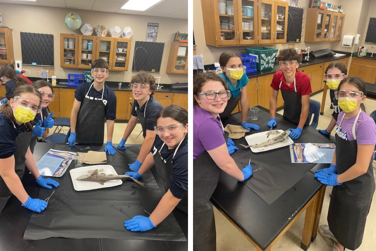Shark Lab: A Fin-tastic Finale | Details