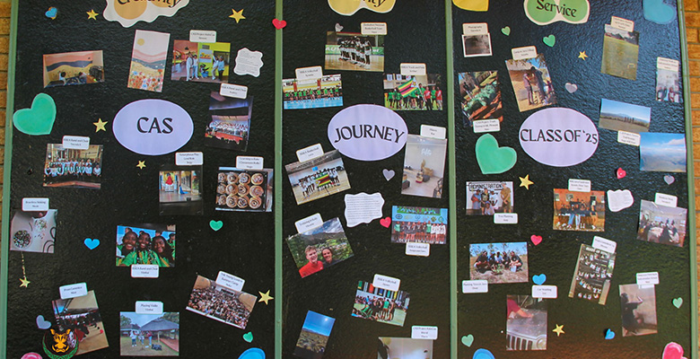 Celebrating Creativity. Activity. Service (CAS) | Blog Details