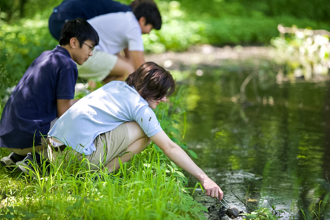 Grade 7 Pond Project: Exploring Ecosystem Health Up Close | News