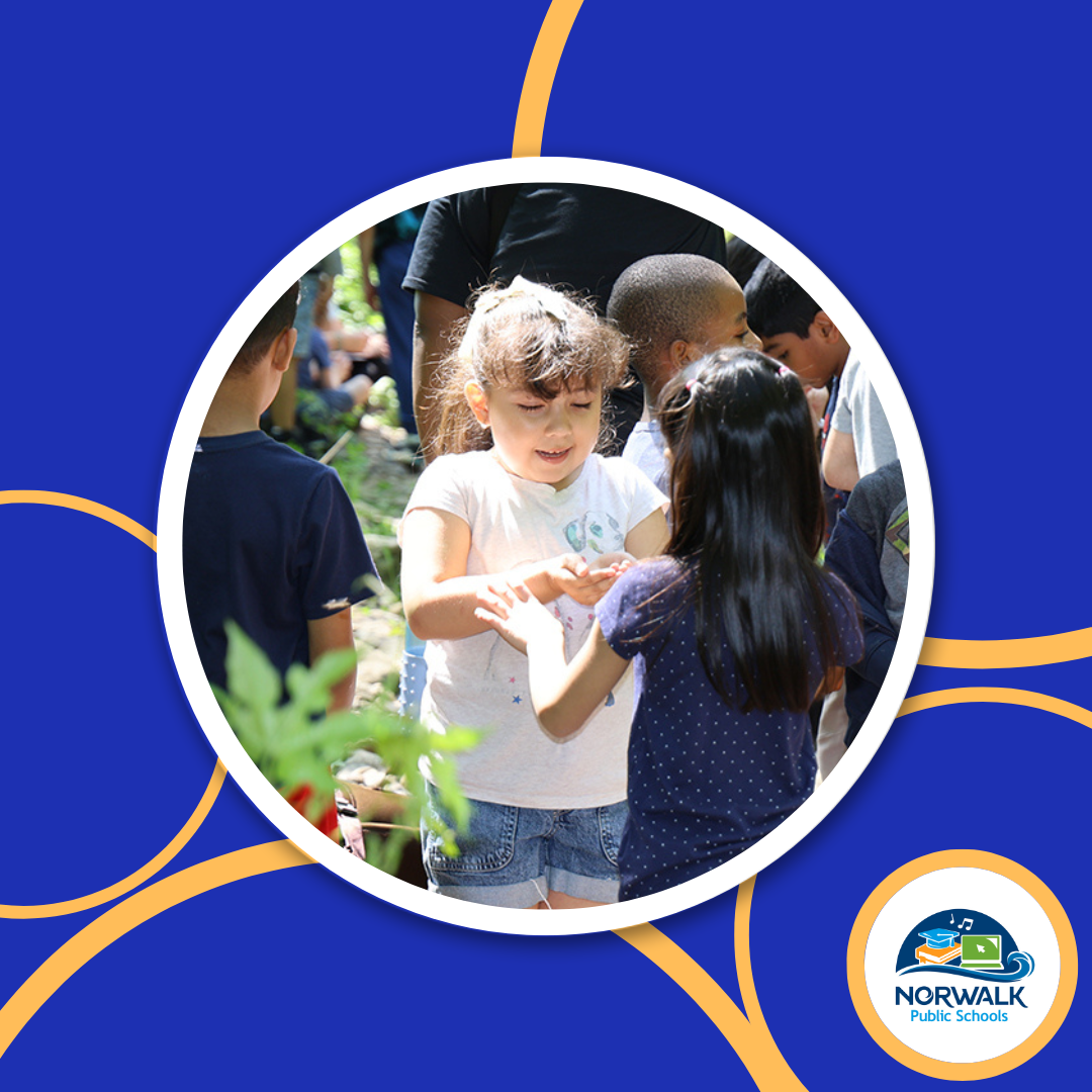 From Egg to River: NPS Students Release Trout into Silvermine River | NPS Blog