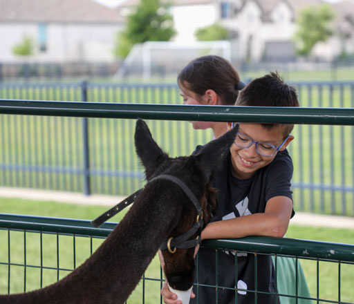 Lance Thompson Elementary Brings the Joy for Lance Day! | News Content