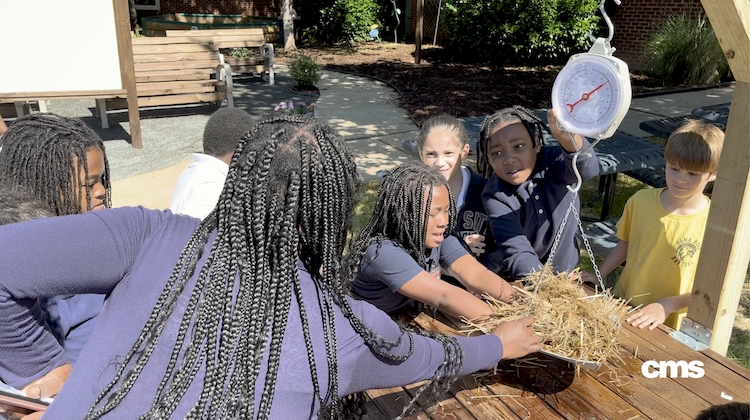 Rama Road Elementary School's Outdoor Learning Space | Post Details