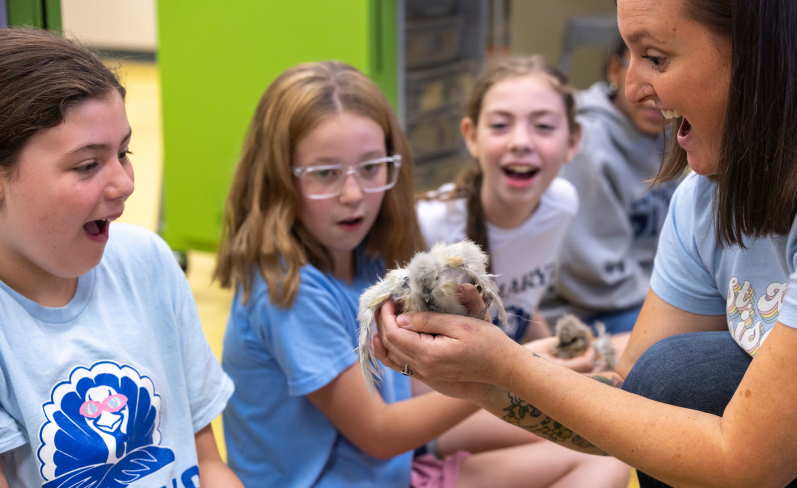 Understanding the Value of Private School Education | Blog Article