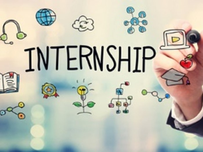 Hands-on Learning: Student Interns Build Real-World Experience | Posts ...