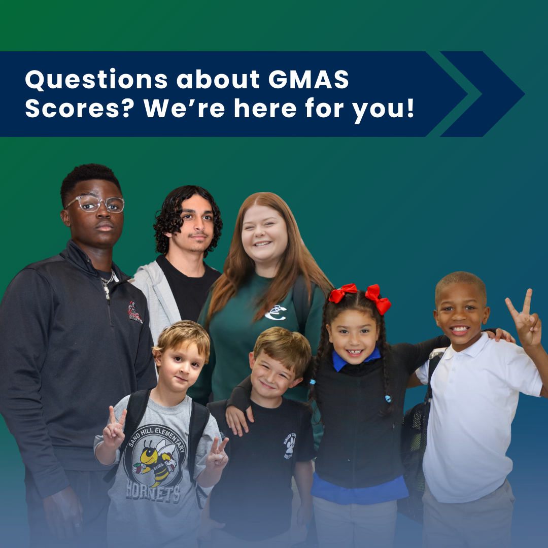 Spring 2025 Georgia Milestones Reports | News Details - Effingham ...