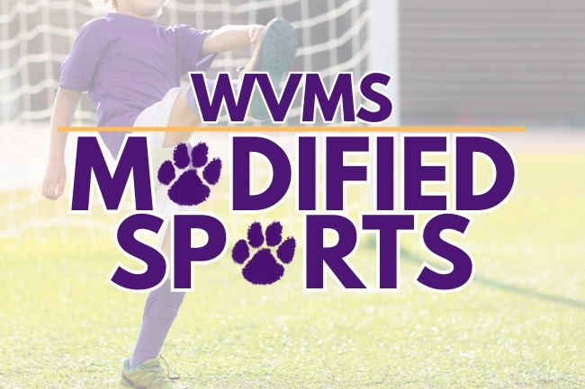 Wildcat Athletics announces modified sports meetings and tryouts | Post ...