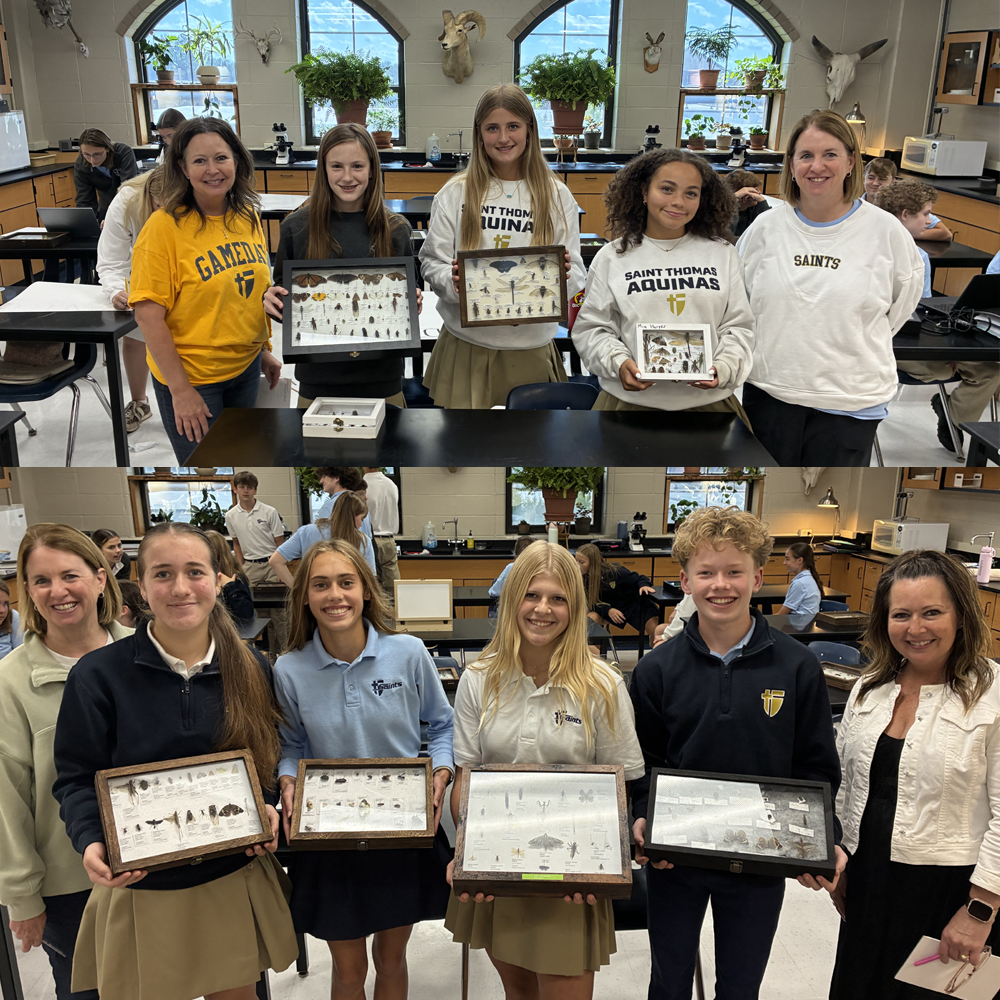 Insect Project Award Winners & Judges - Honors Freshman Biology ...