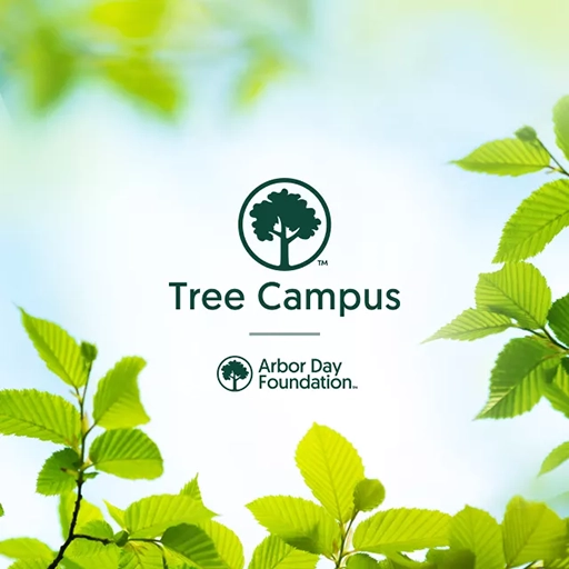 “Tree Campus” Salutes Three Elementaries | Post Details