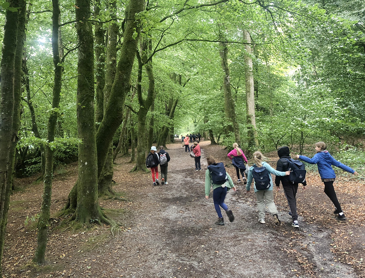 Year 6 Outdoor Education Day Brings Adventure And Friendship | Post Details