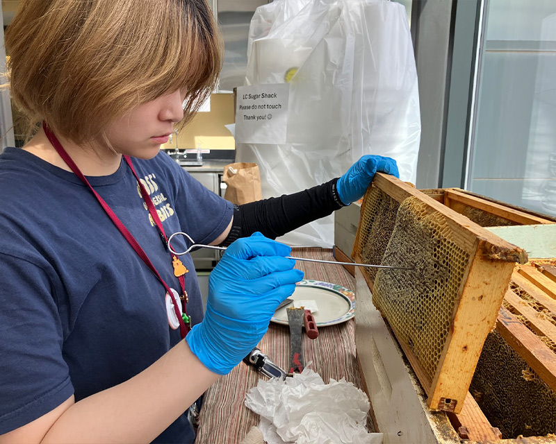 The Plate’s Filling Up in the Classroom Kitchen | The Loomis Chaffee School