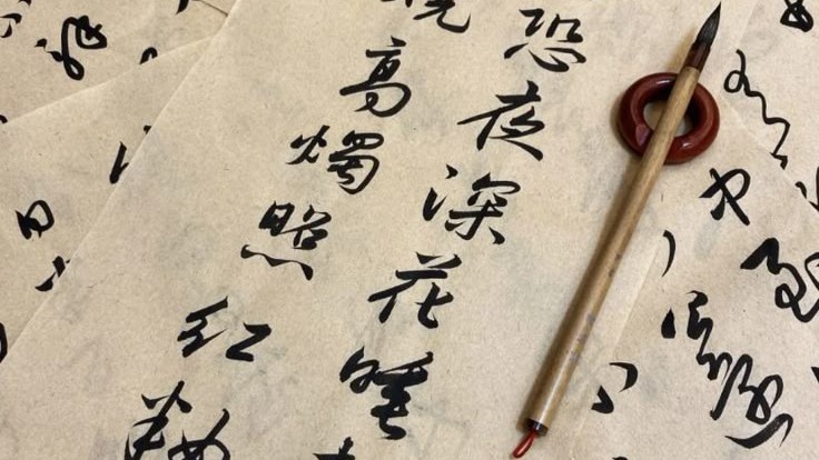 Chinese Language & Culture Association | Clubs Details