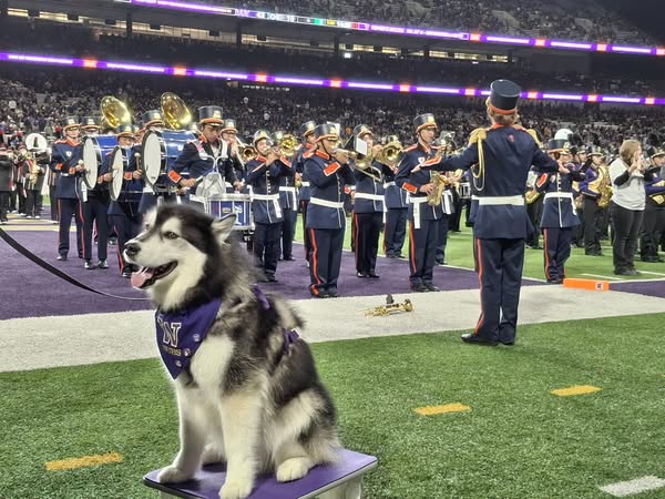 Eastside Catholic School Marching Band Shines at 72nd Annual UW Husky ...