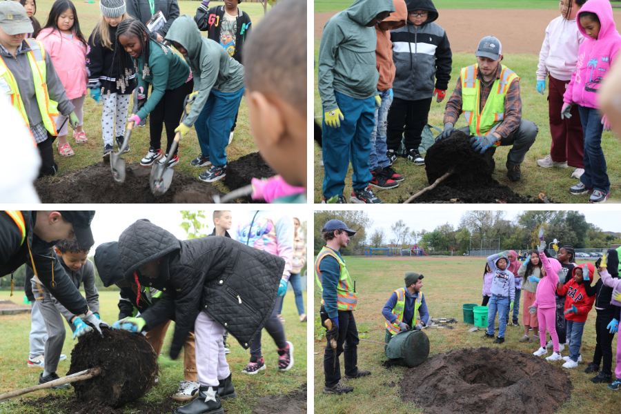 Zanewood Community STEAM School holds tree planting event | article ...
