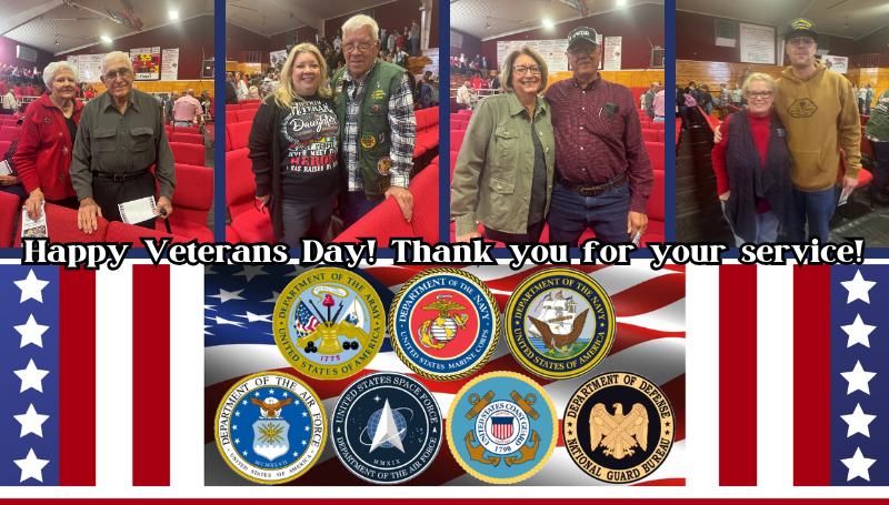Happy Veterans Day! | Post Details