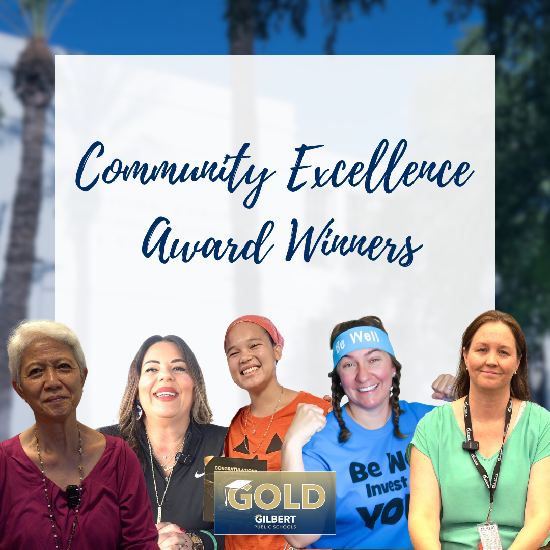 Celebrating Excellence: The 2025 Community Excellence Award Winners ...