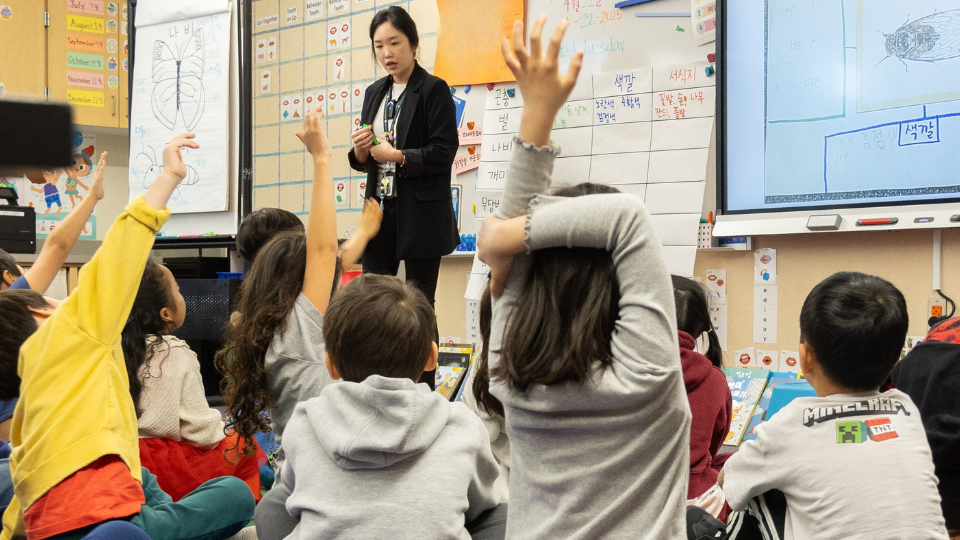 Open Transfer, Choice Schools and Language Programs Application Period ...