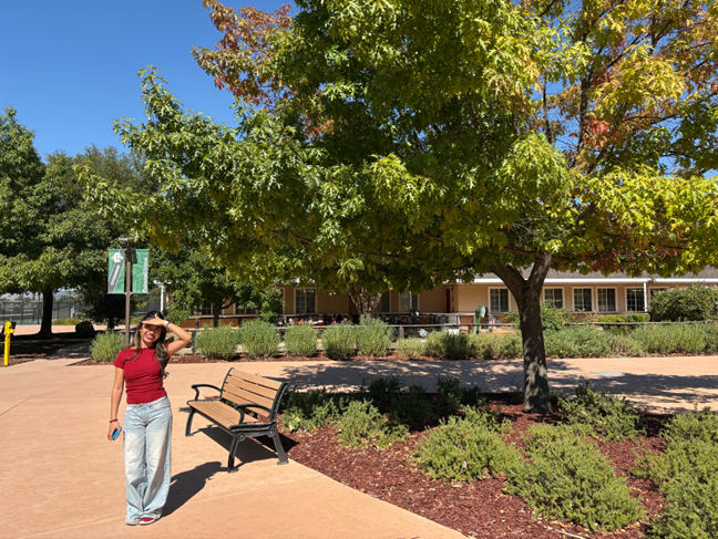 Rooted in Science: Students Discover the Benefits of Campus Trees ...