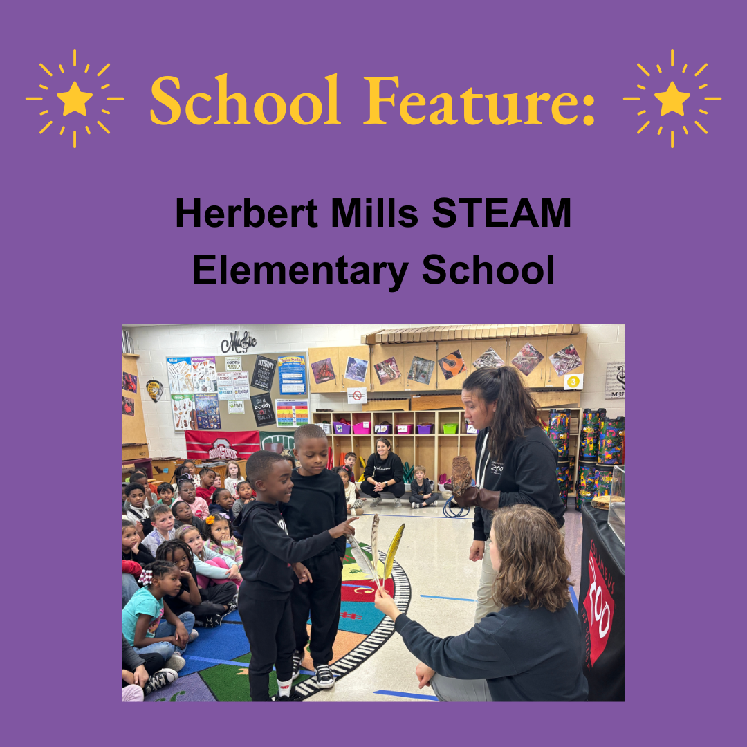 School Feature: Herbert Mills STEAM Elementary School | Post Details