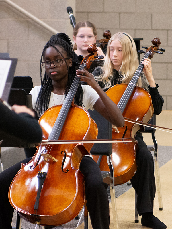 Middle School Orchestra Debut | Post Details