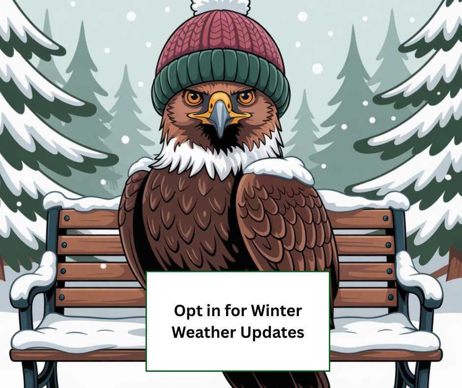 Opt in for Winter Weather Updates | Posts Details/Default Board Post Page