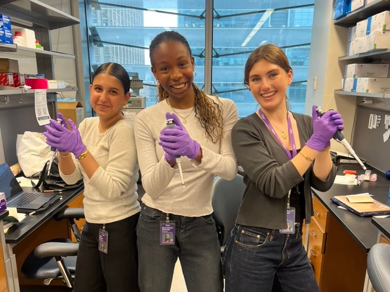 Host a Senior Work Internship | [Linked Stories — About Us]
