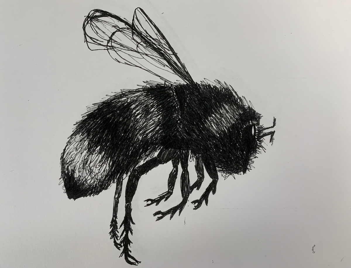 Exceptional Work From The Bio Drawing Group | Post Details