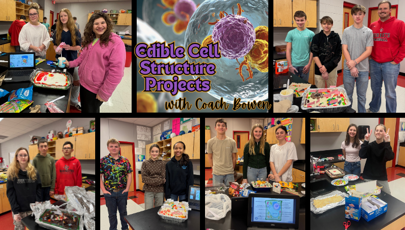 Edible Cell Structure Projects with Coach Bowen | Post Details