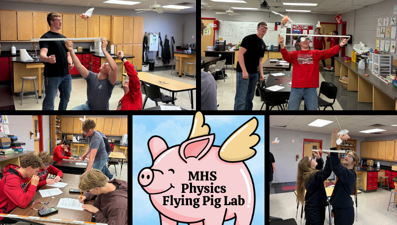 Flying Pig Lab in Mrs. Miller's Physics Class | Post Details
