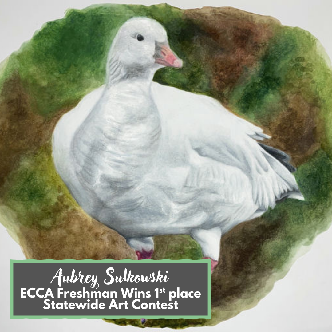 ECCA Freshman Aubrey Sulkowski Wins 1st Place in Statewide Art Contest ...