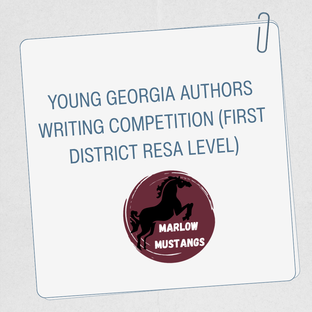 2nd Place Winner – Young Georgia Authors Writing Competition (First ...