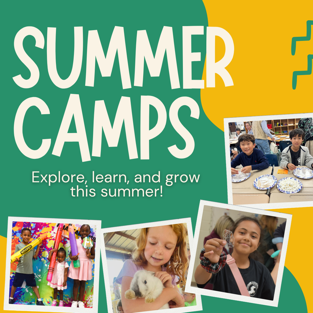 Summer Camps - Explore, learn, and grow this summer! 🌞 | Post Details