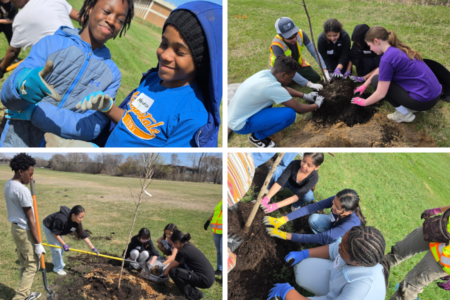 North View Middle School beautifies school grounds with tree planting ...