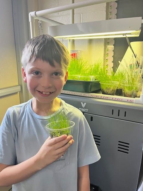 Second Grade Learns About Grass and Weeds | Posts Details/Default Board ...