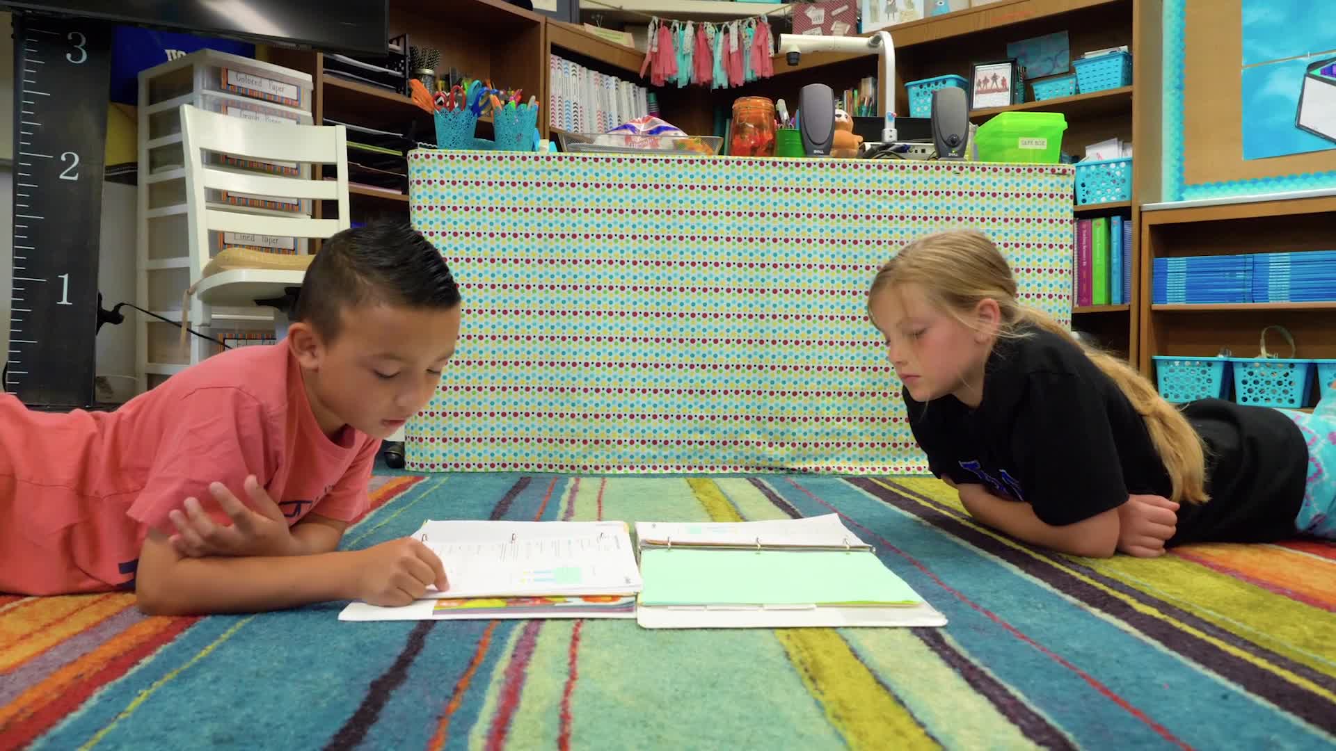 Mountain Vista Community School